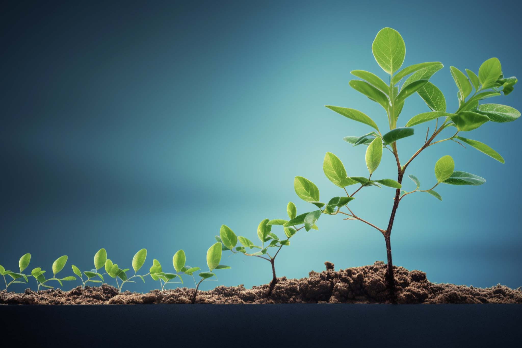 Generative AI Consulting and Enablement Services